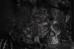 Author Leigh Rivers – Welcome!